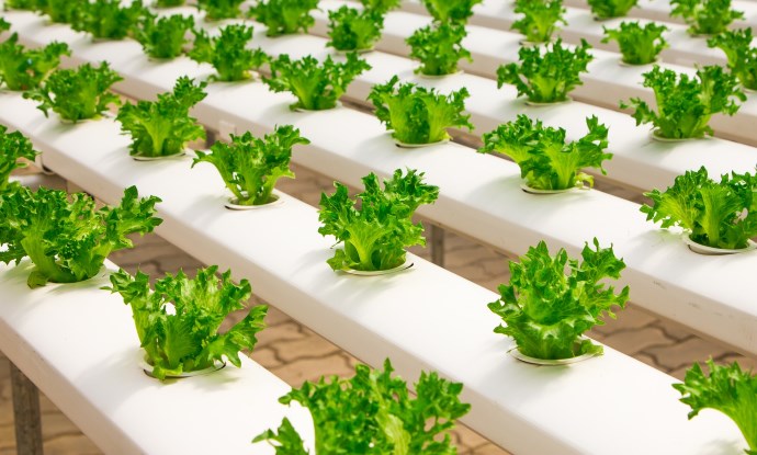 Buy Only Responsibly Made Products - TrulyResponsible